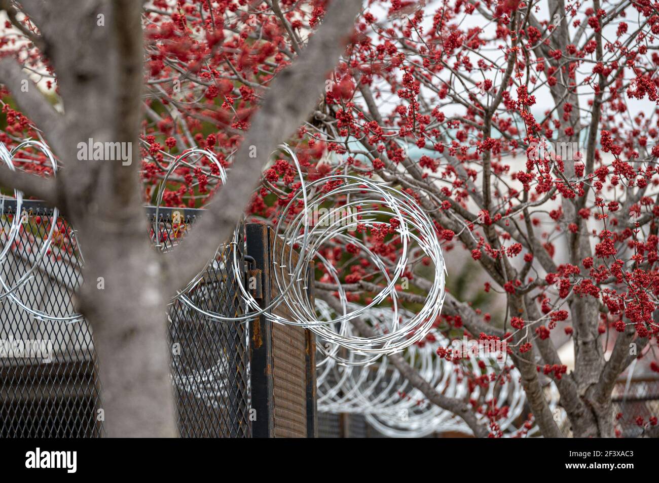 Barbed wire around tree hi-res stock photography and images - Alamy