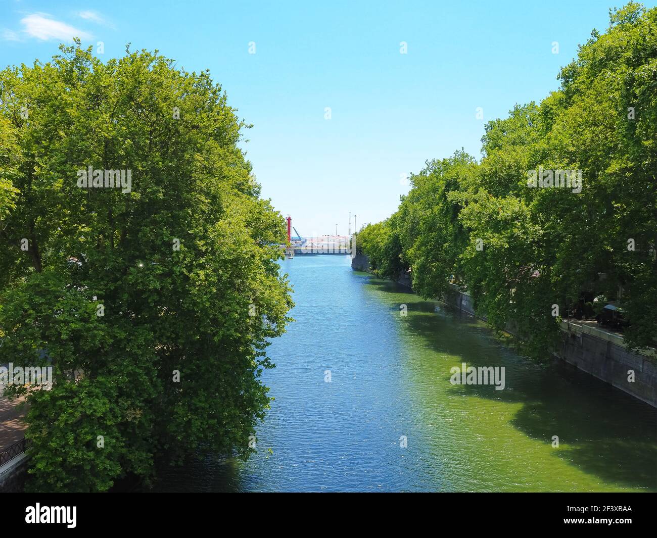Wide green river with lush green trees growing on either side of ...