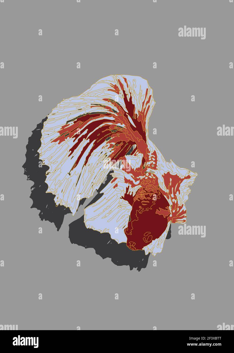 Illustration of a fish isolated on gray background Stock Photo - Alamy