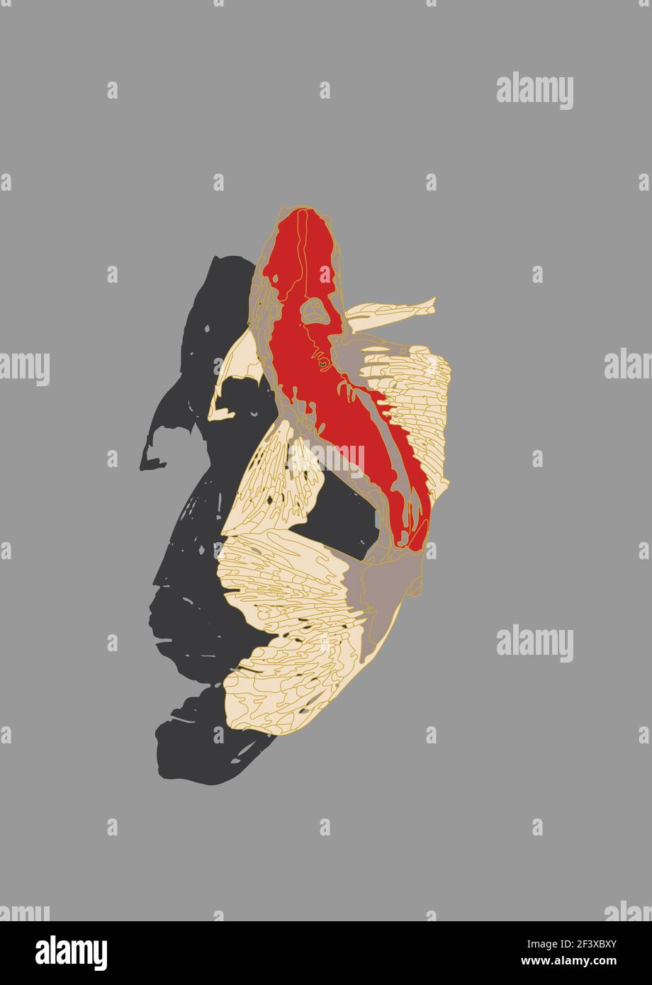 An illustration of a fish isolated on gray background Stock Photo - Alamy