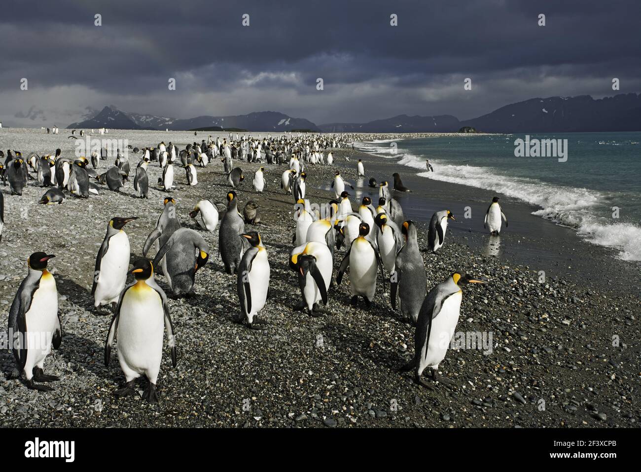 Group gathering hi-res stock photography and images - Alamy