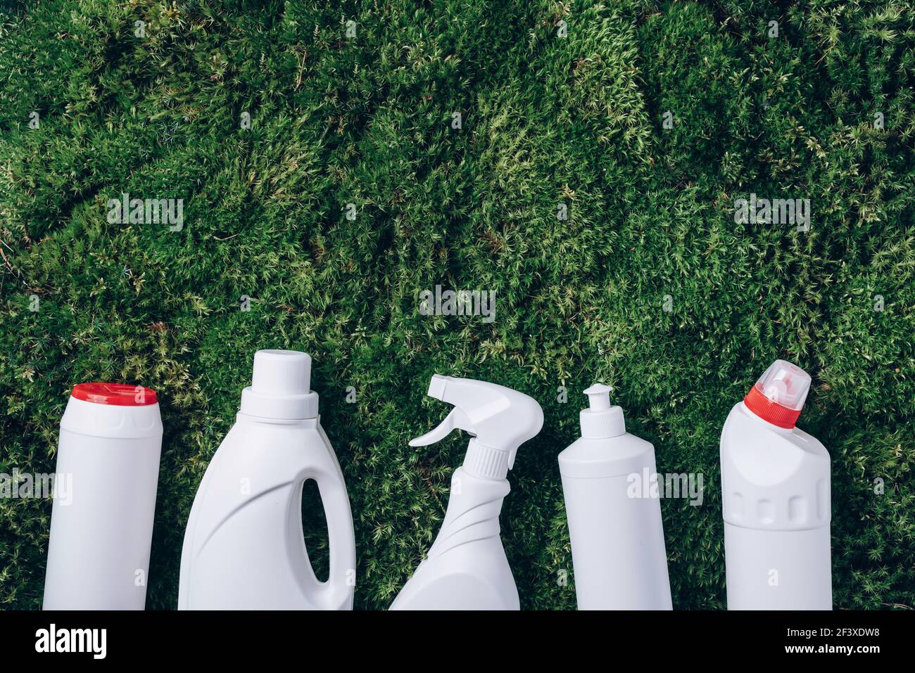 Cleaning products on green grass, moss background. Top view. Copy space ...