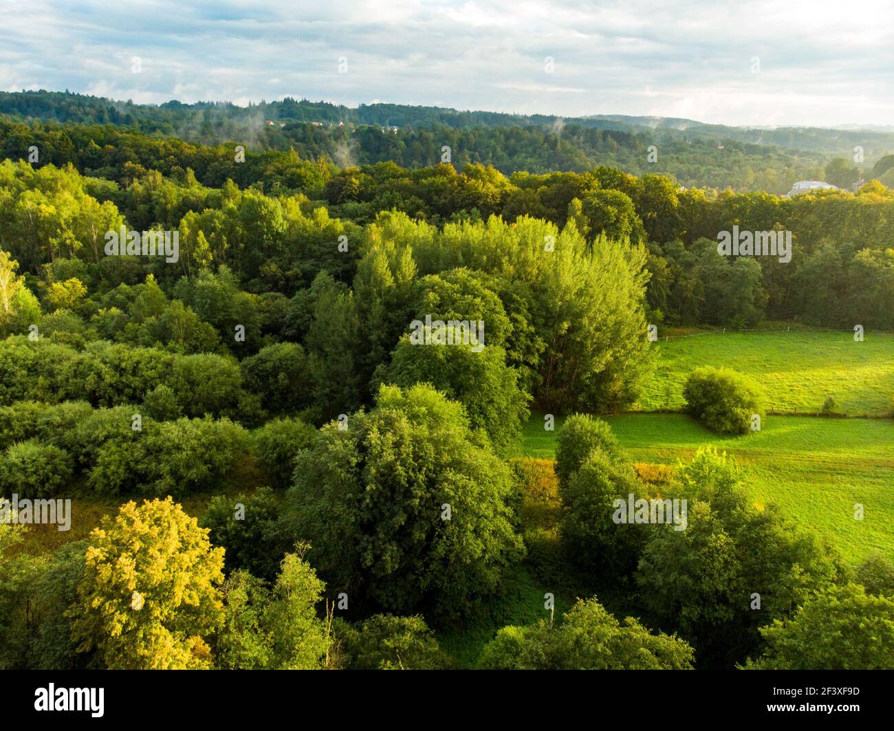 Beautiful aerial forest scene in summer. Green trees and fields on ...