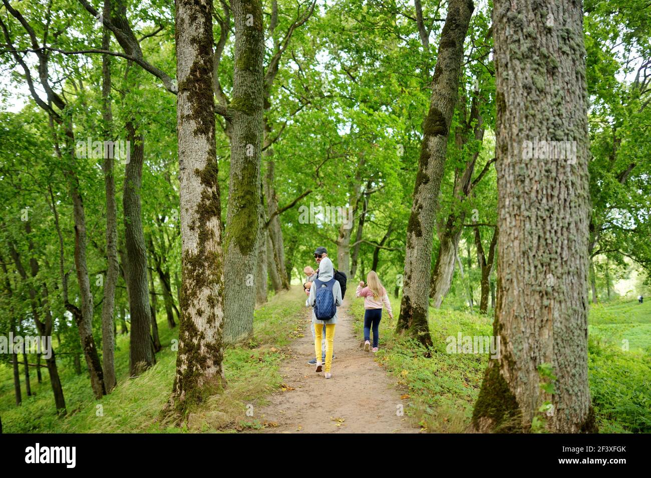 Family of four exploring the Dubingiai Castle Hill, former island, now ...