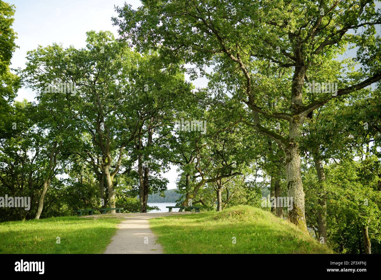Beautiful landscape of the Dubingiai Castle Hill, former island, now a ...