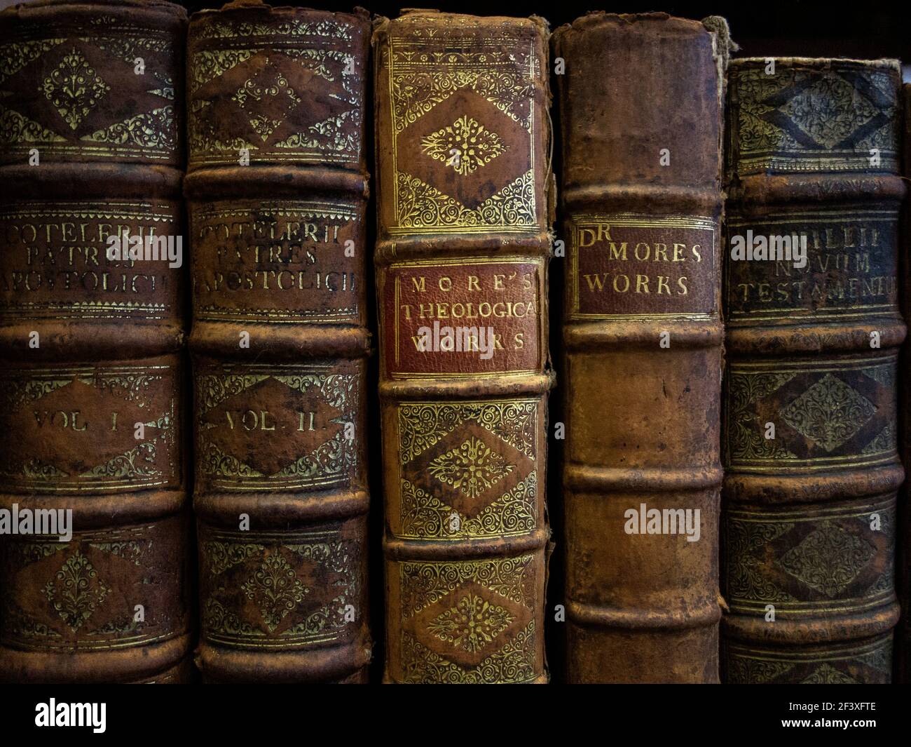 Old library interior window hi-res stock photography and images - Alamy