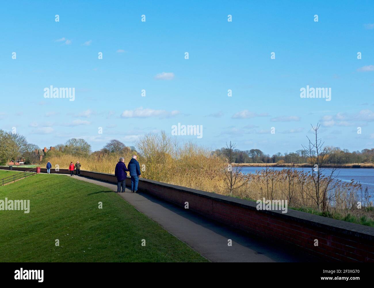 The River Ouse near Hook, East Yorkshire, England UK Stock Photo - Alamy