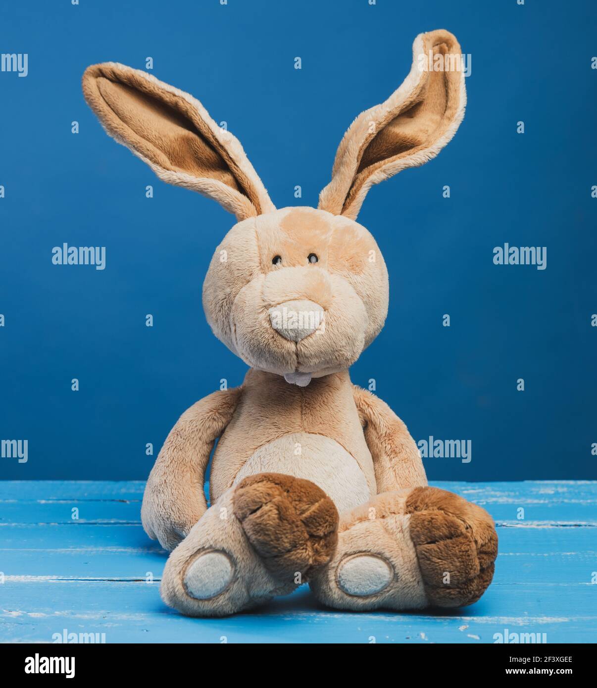 funny beige plush rabbit with big ears and funny face on a blue ...