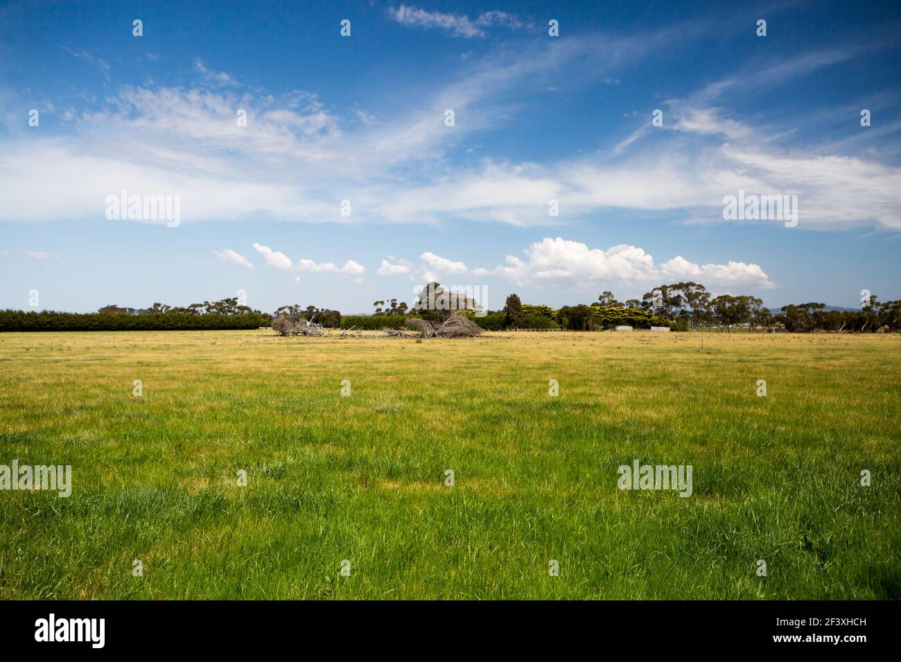 Lancefield hi-res stock photography and images - Alamy