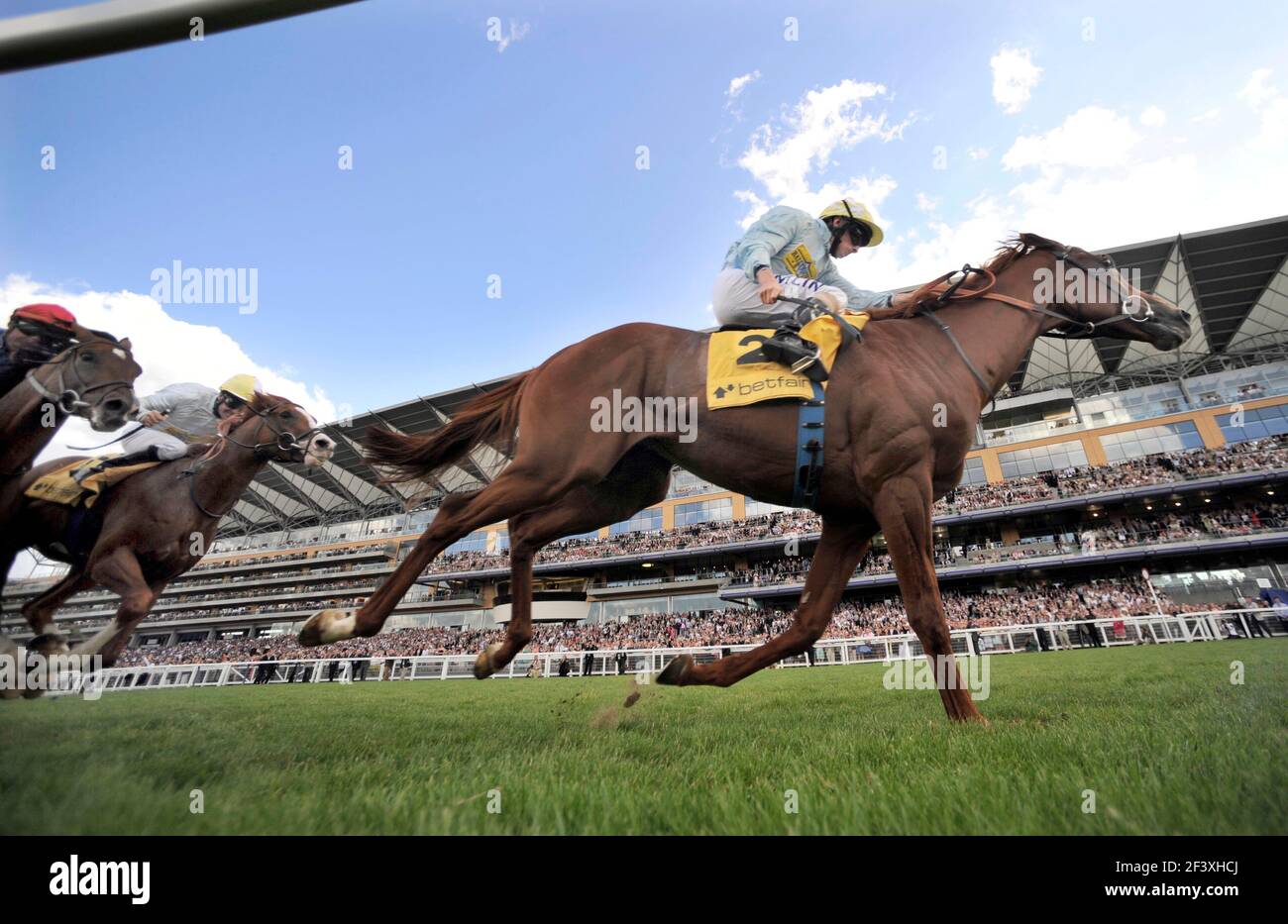 King george v1 queen hi-res stock photography and images - Alamy