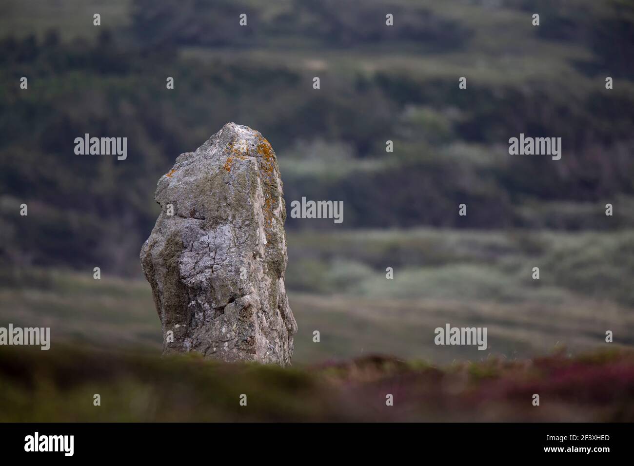 Menhir monolith megalith stone hi-res stock photography and images - Alamy