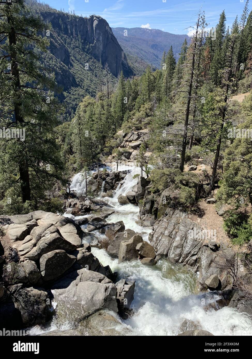 A landscape view with a waterfall running through pine trees near ...