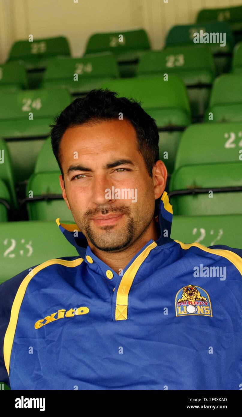 Hollioak hi-res stock photography and images - Alamy