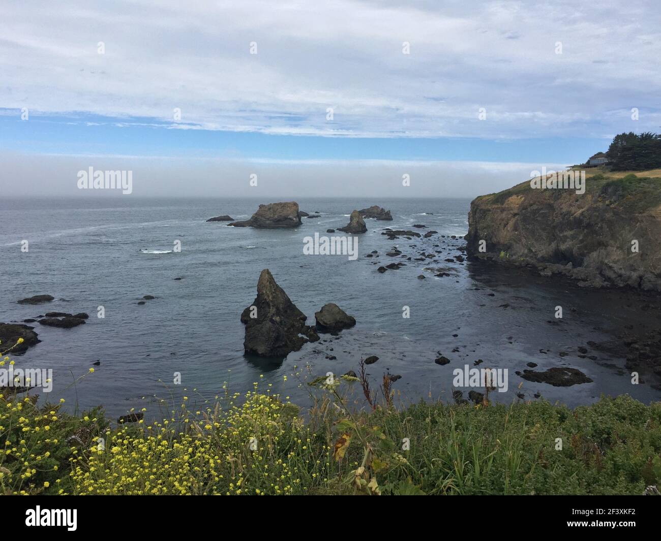 The ocean view with rocks along the coastline of Trinidad, California ...