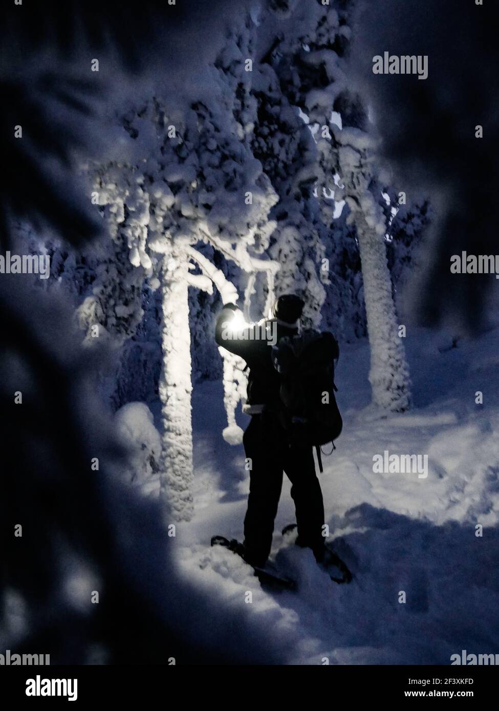 Man in Snowy forest, lighting up trees with his lantern, in Lapland ...