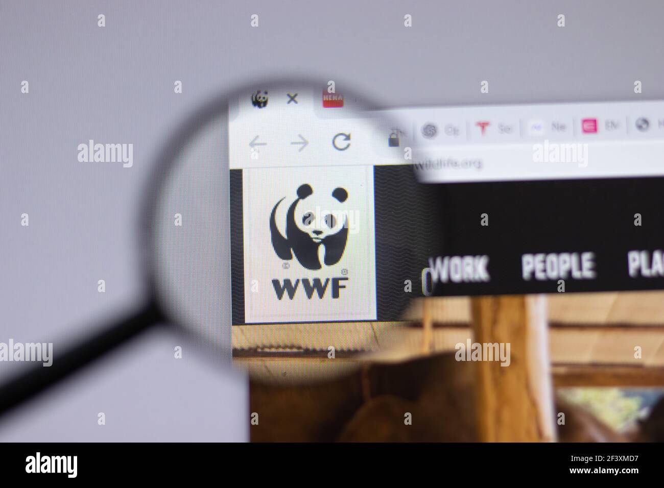 Wwf logo hi-res stock photography and images - Alamy