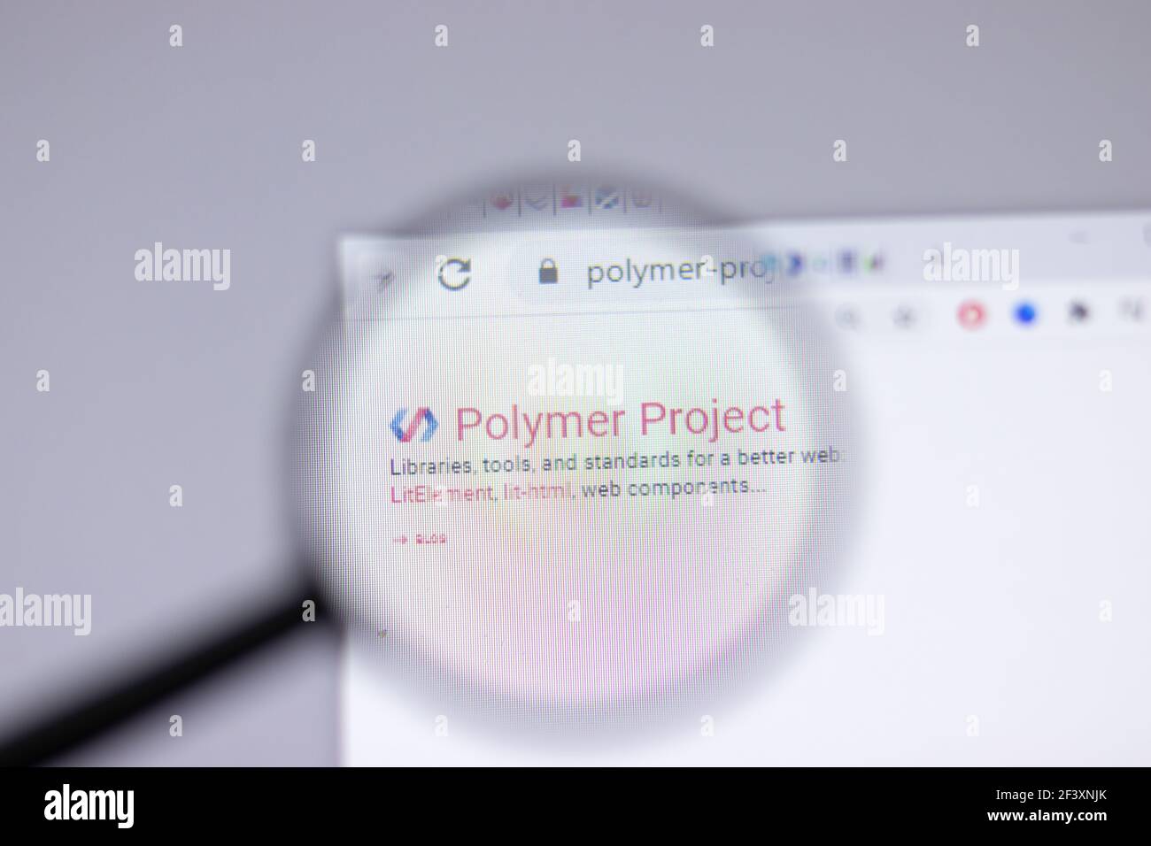 New York, USA - 18 March 2021: Polymer Project company logo icon on ...