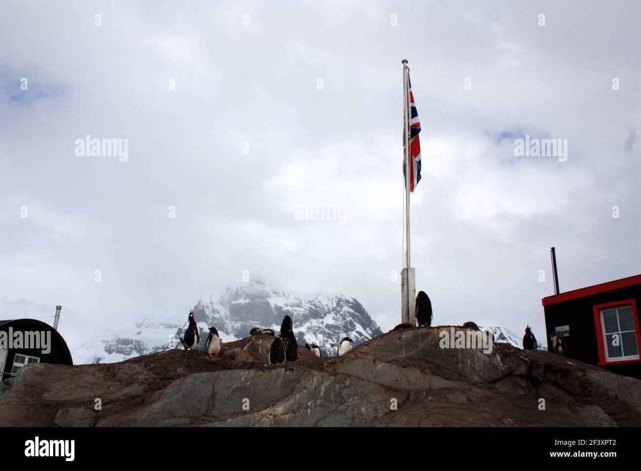 Port Lockroy in the Antarctica, Antarctic Peninsula Stock Photo - Alamy