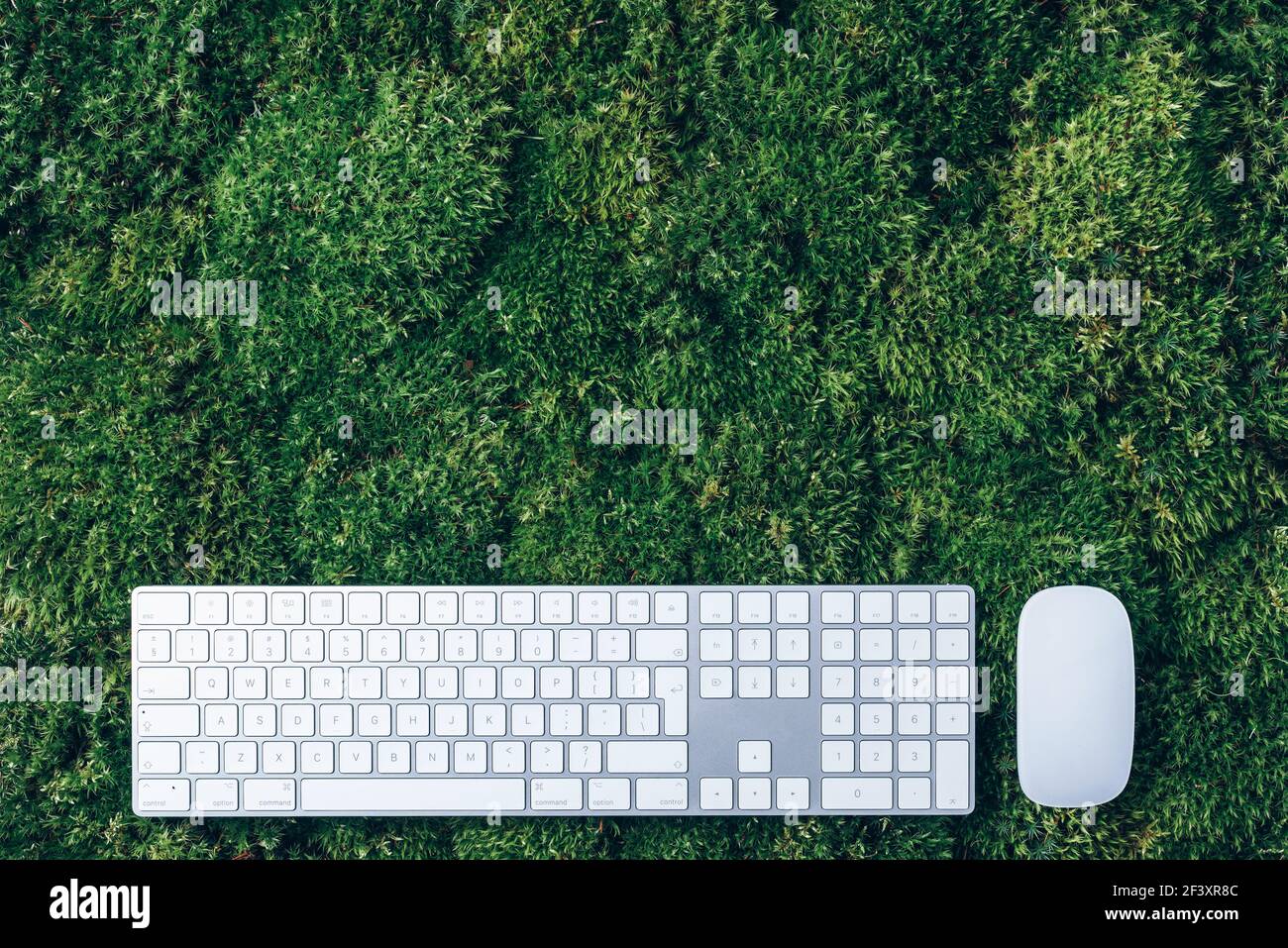 White keyboard, mouse on green grass. Top view, copy space. Mindfulness ...