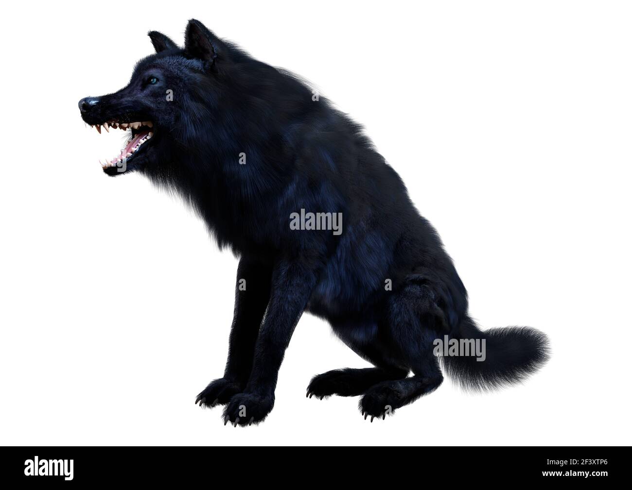 3D rendering of a black wolf isolated on white background Stock Photo ...