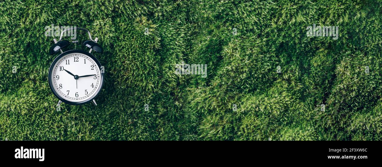 Green grass clock sleeping hi-res stock photography and images - Alamy