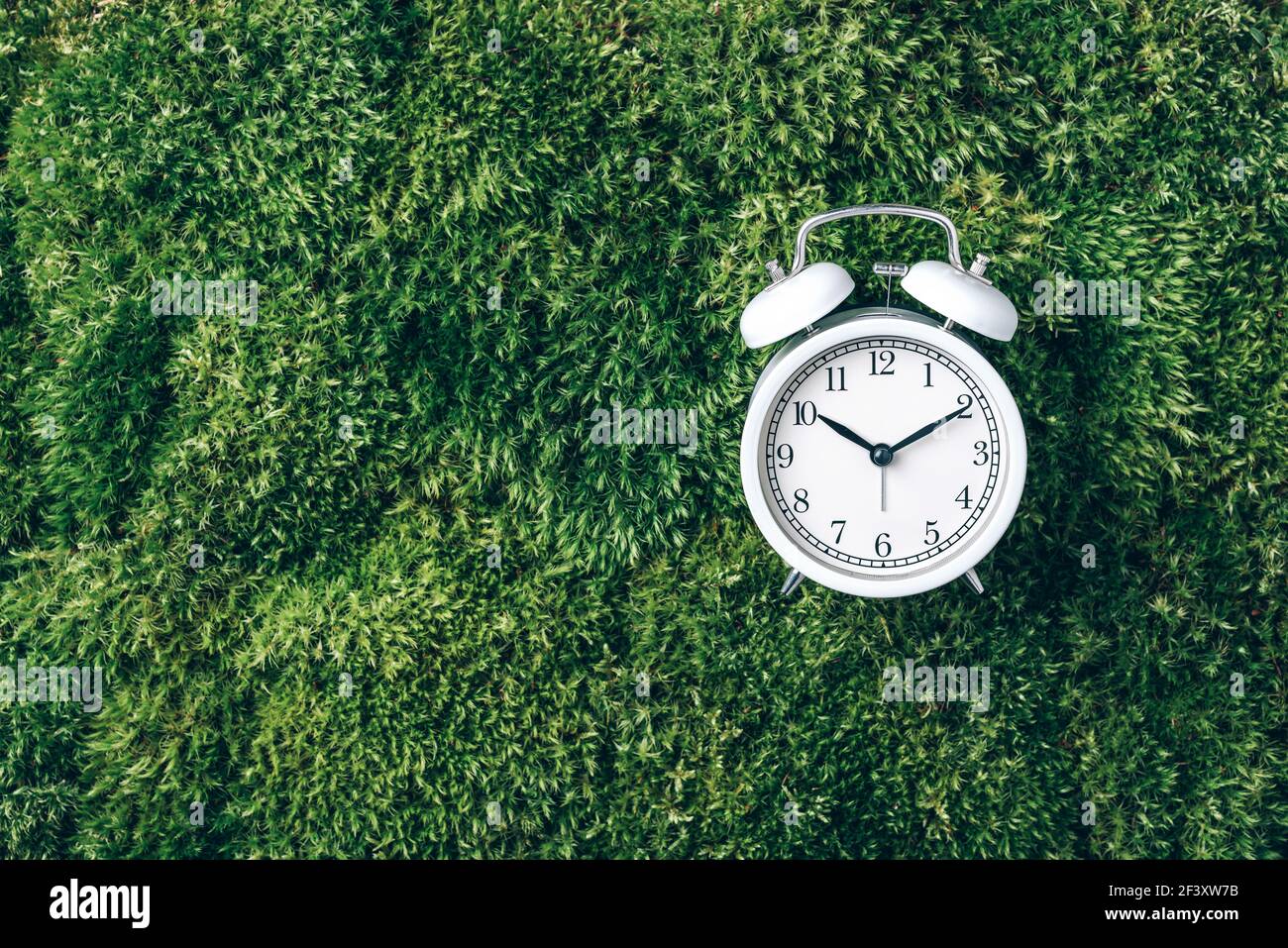 Green grass clock sleeping hi-res stock photography and images - Alamy