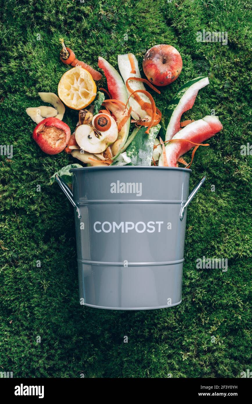 Peeled vegetables in white compost bin on green grass, moss background ...