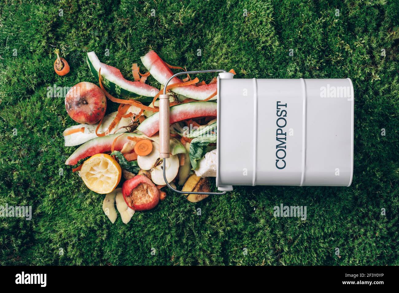 Garbage sorting. Organic food waste from vegetable ready for recycling ...