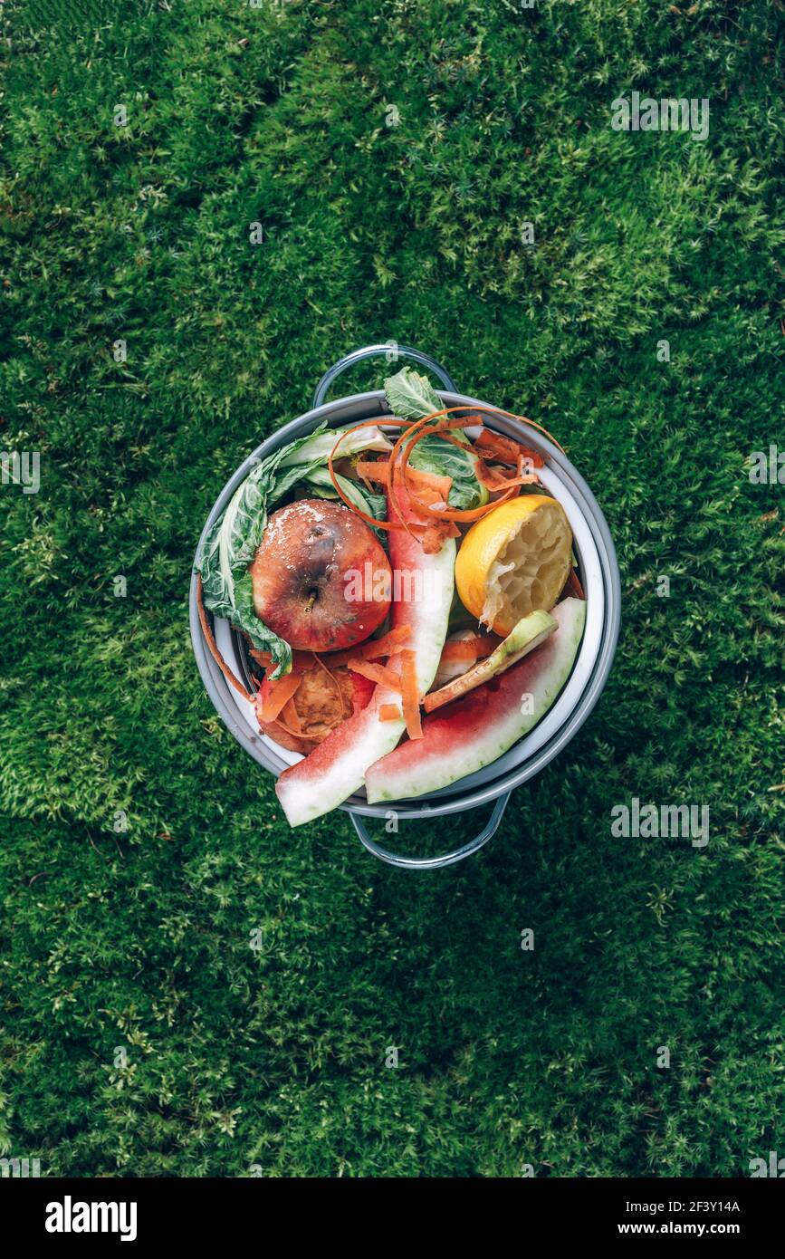 Recycle kitchen waste. Sustainable and zero waste living. Vegetable ...