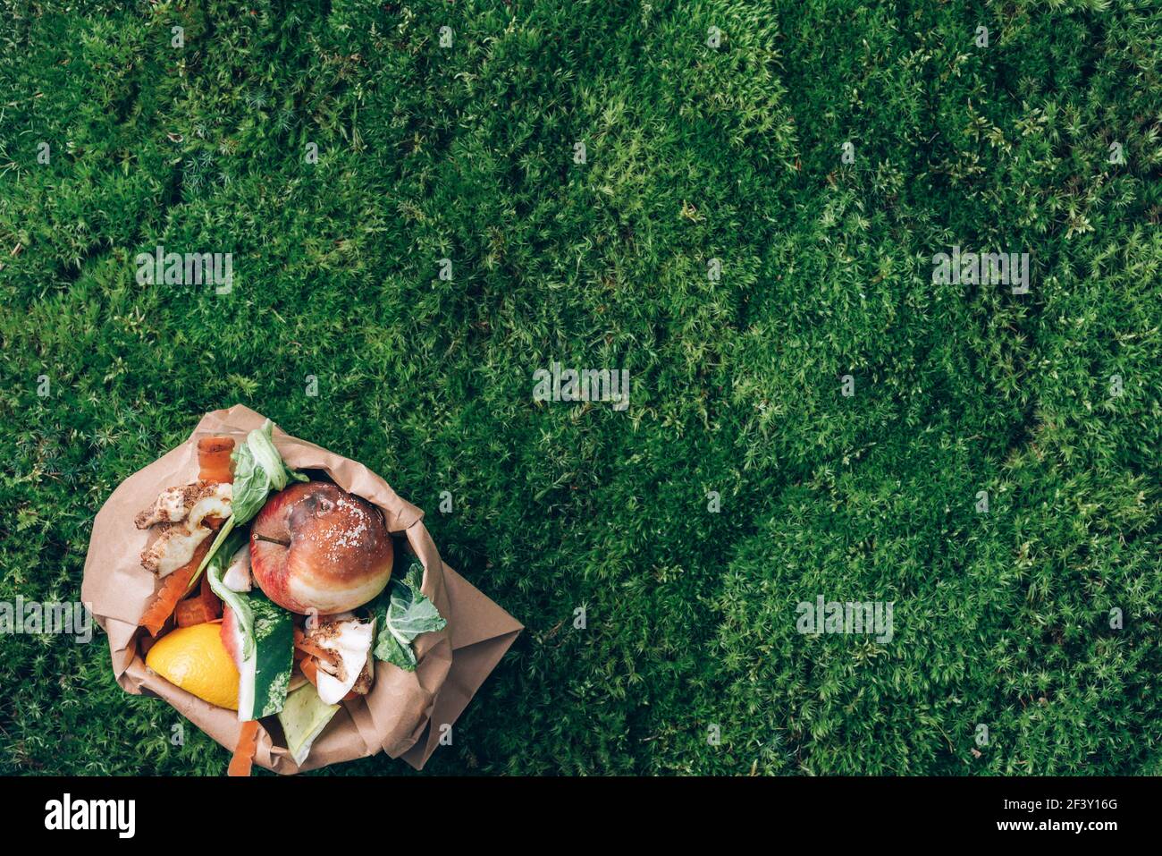 Recycle kitchen waste. Sustainable and zero waste living. Vegetable ...