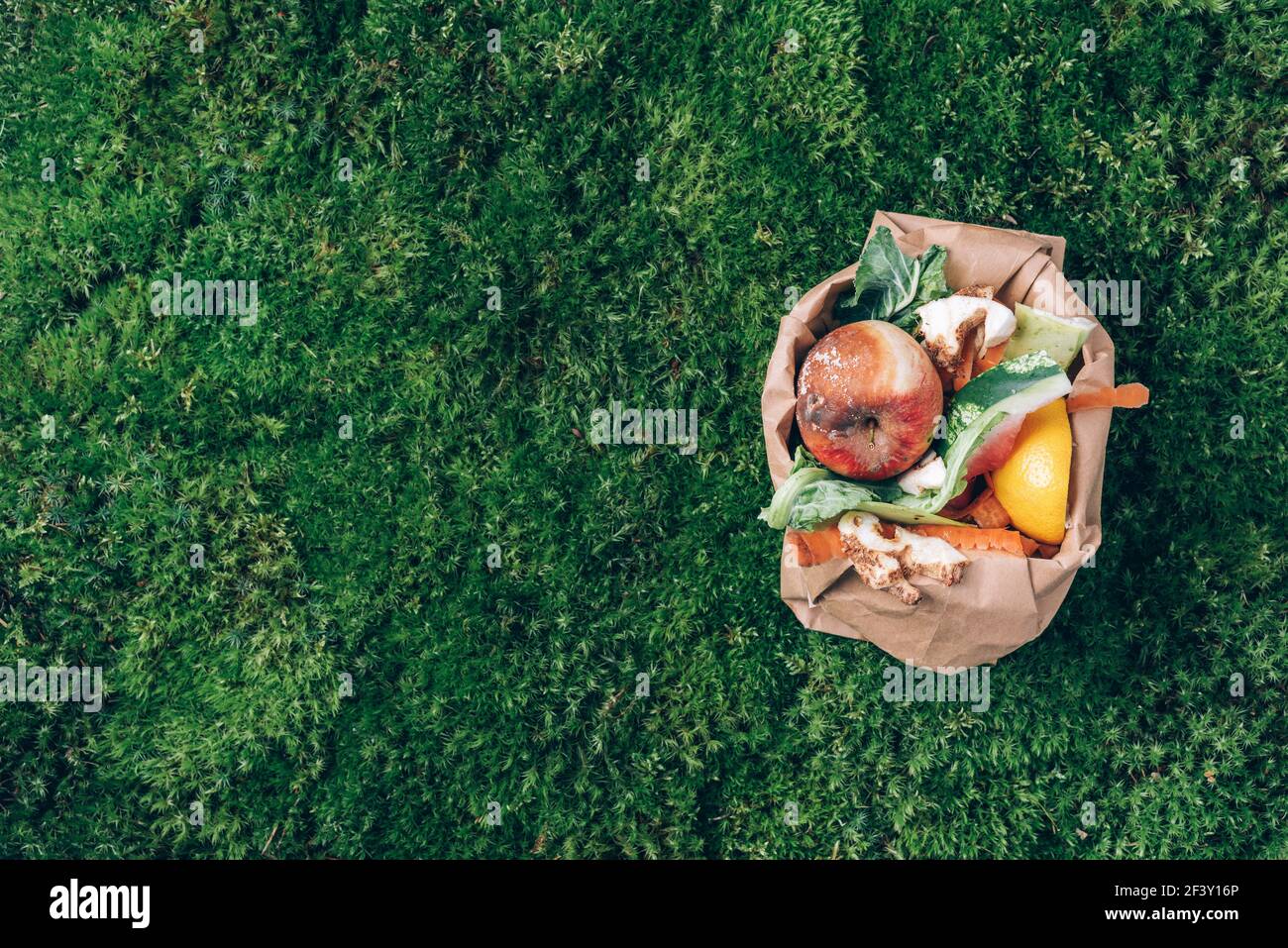 Recycle kitchen waste. Sustainable and zero waste living. Vegetable ...