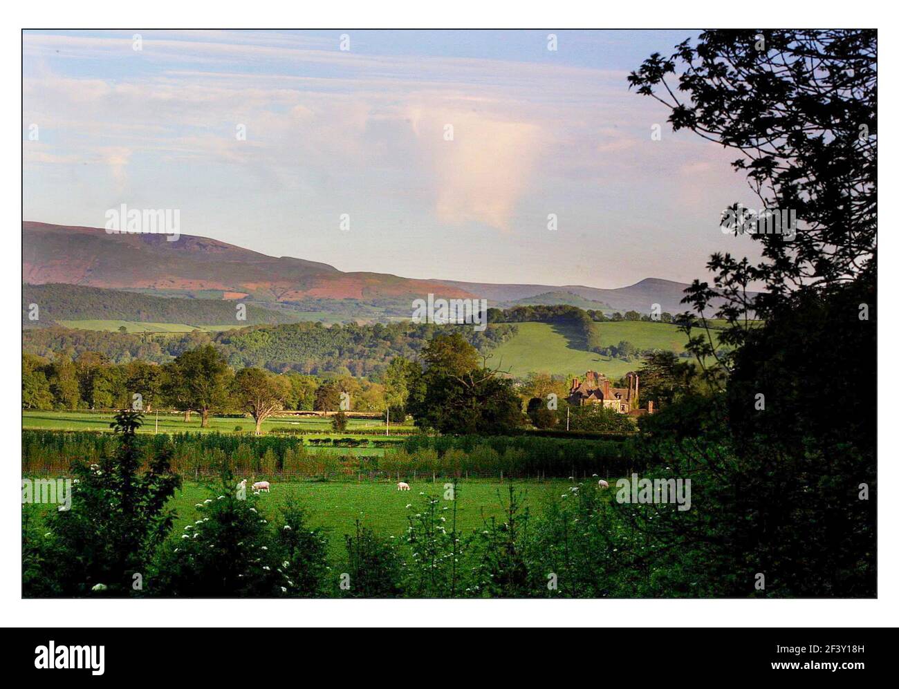 Llangoed High Resolution Stock Photography and Images - Alamy