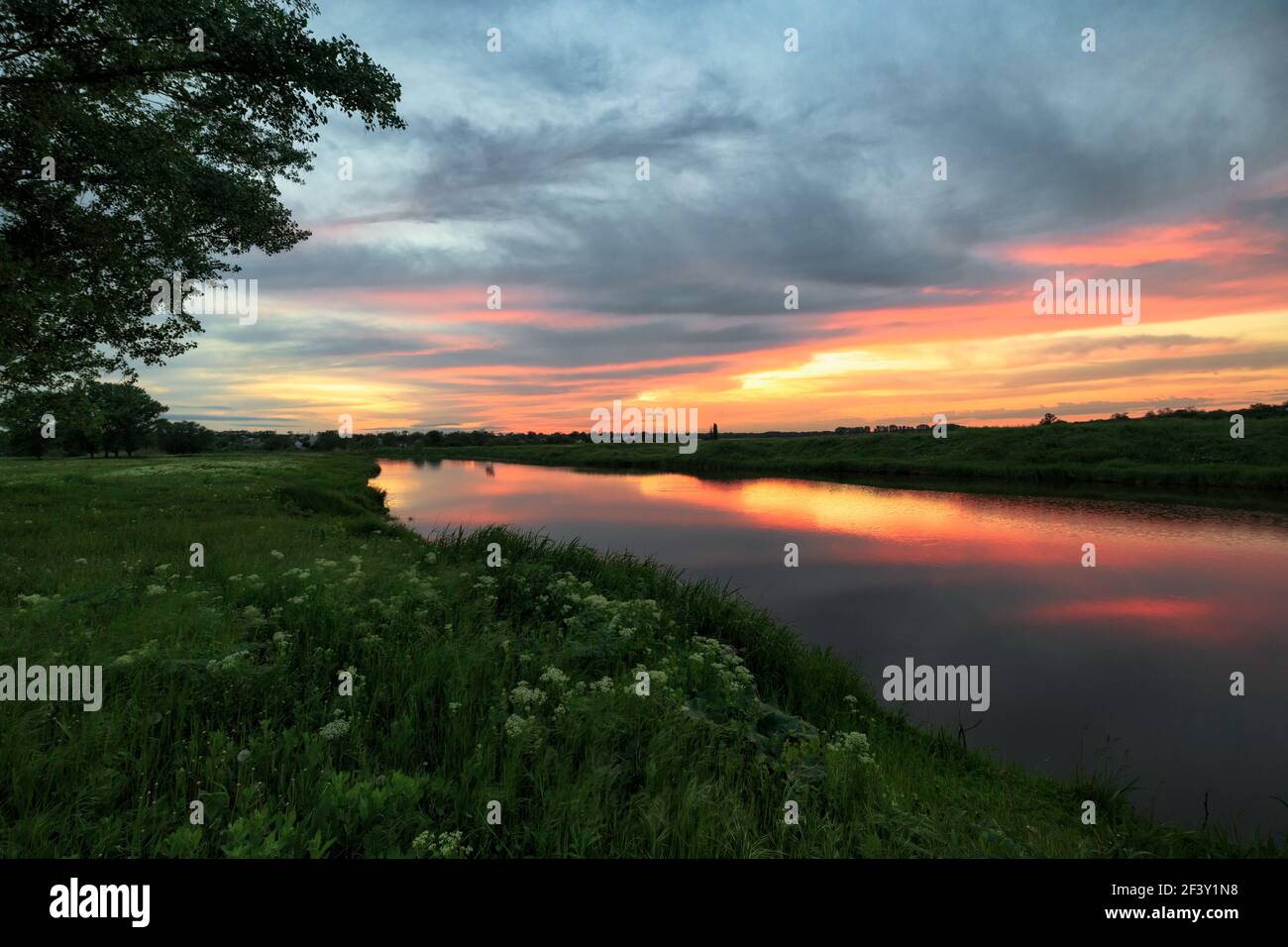 Spring sunset, dawn, on the river bank, with young green grass, a tree ...