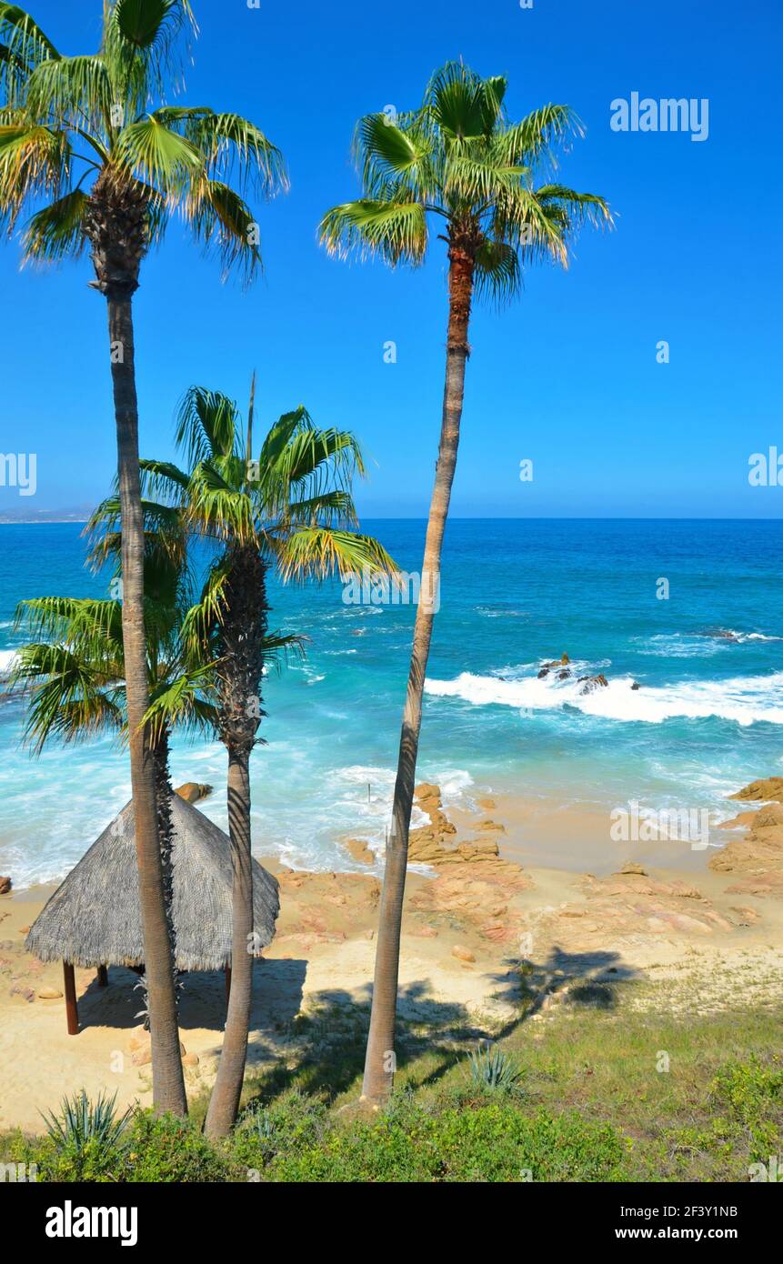 Scenic landscape with a thatched roof bungalow hut overlooking the Sea ...