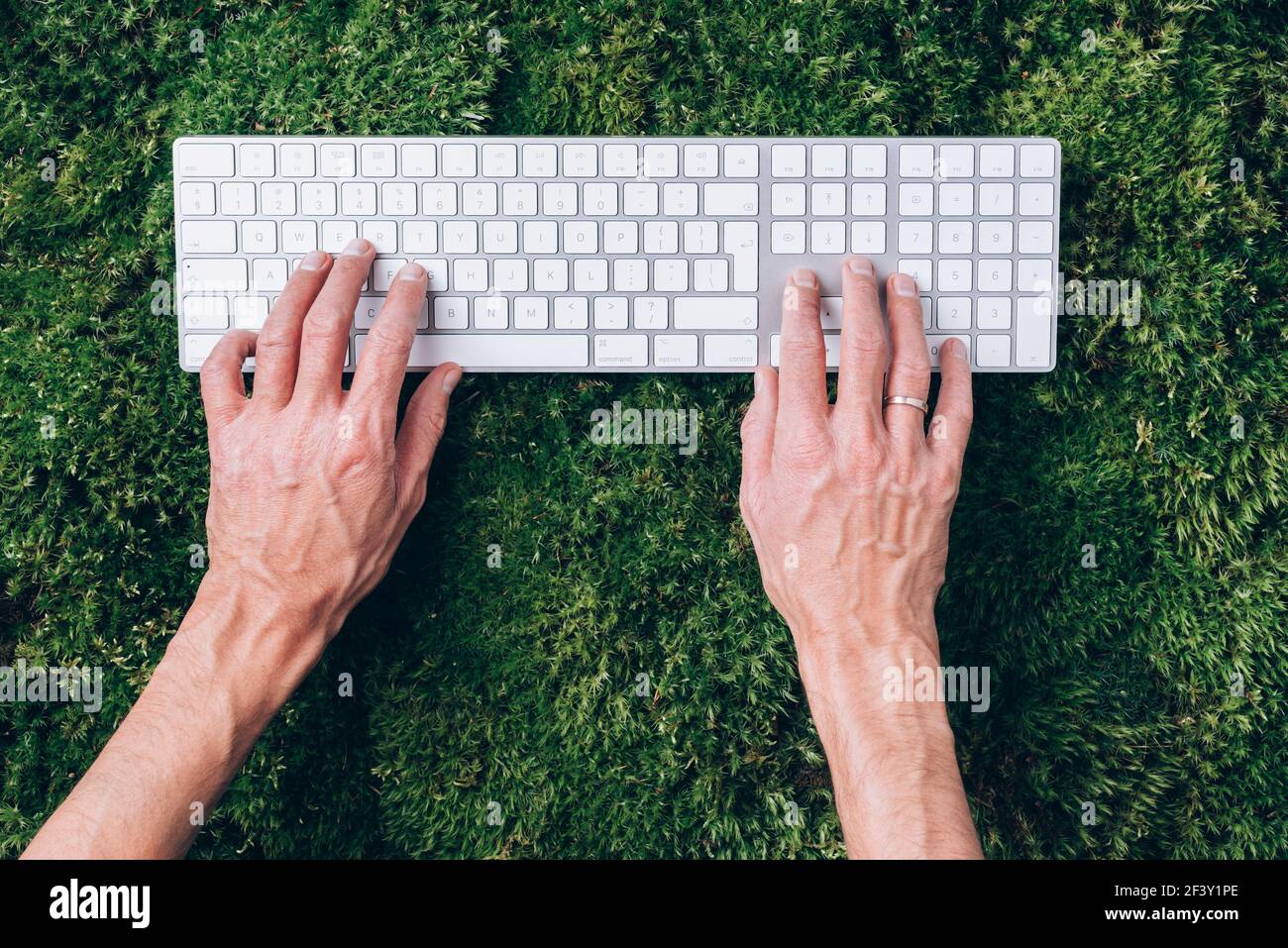 Hands on laptop keyboard over green grass, moss forest background. Top ...