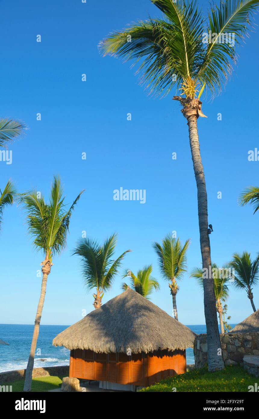 Scenic landscape with a thatched roof bungalow hut overlooking the Sea ...