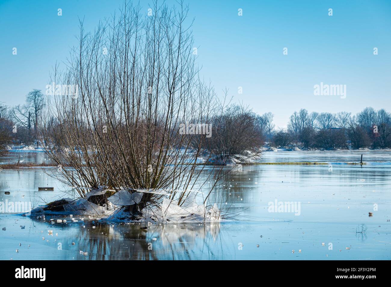 Frozen floodplains in the Netherlands during winter Stock Photo - Alamy