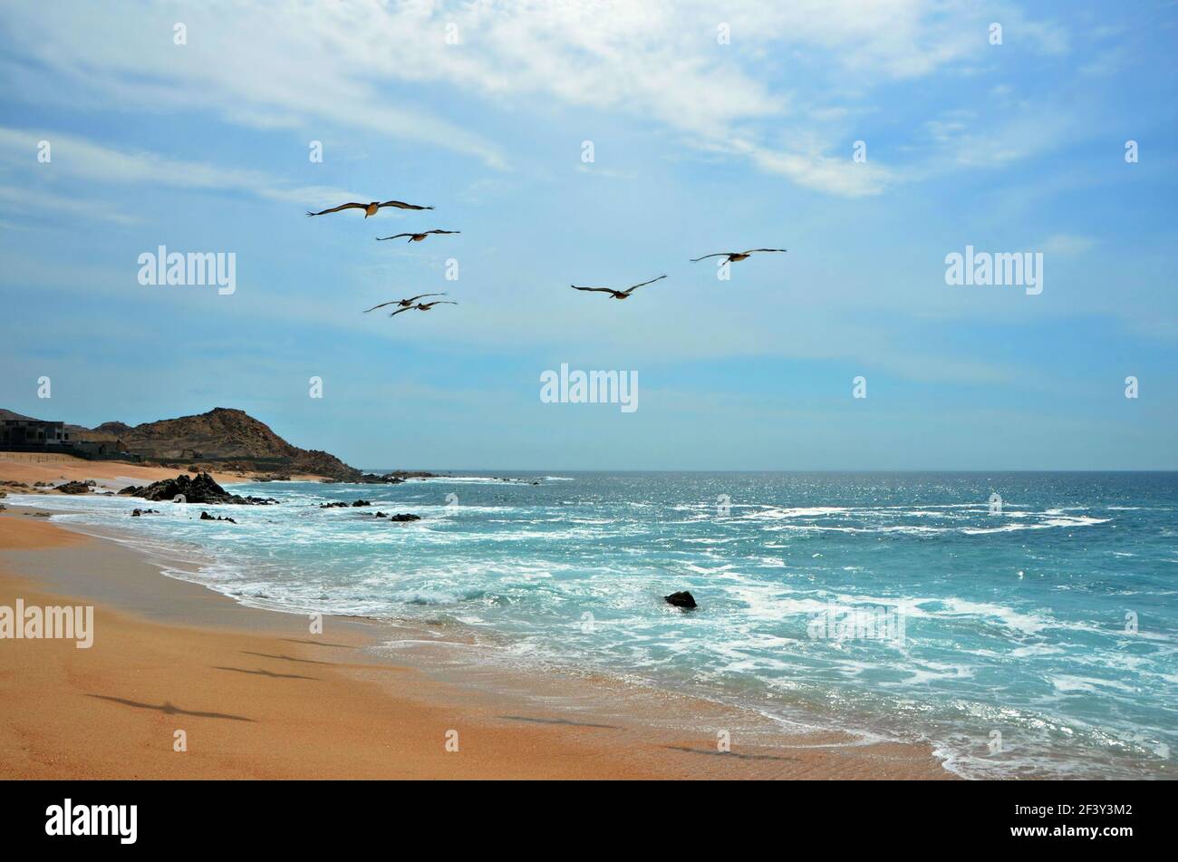 Flying cranes over Playa de Las Viudas, an isolated sandy beach with ...
