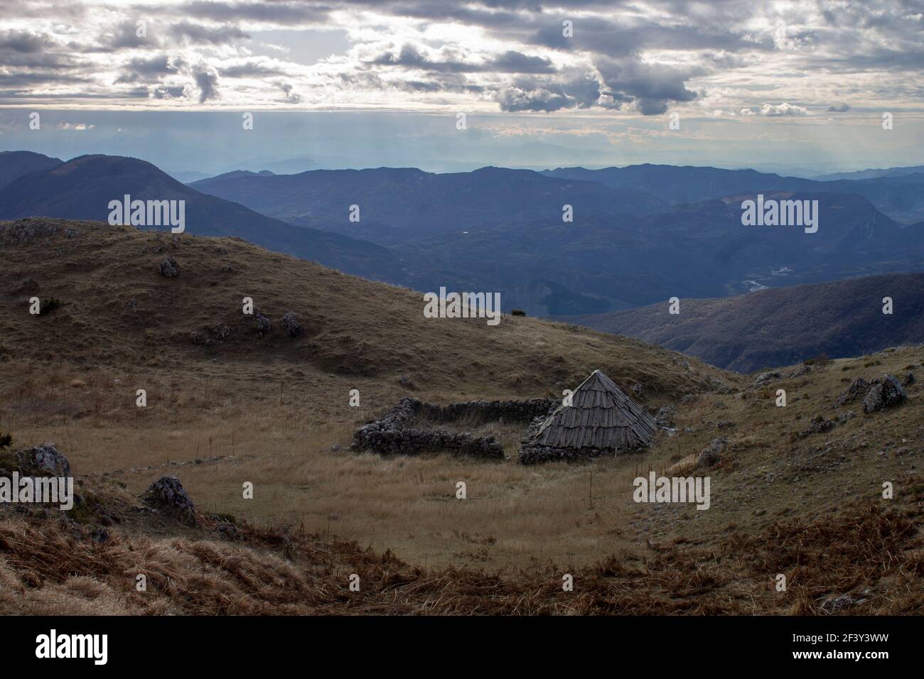 Livestock habitat hi-res stock photography and images - Alamy