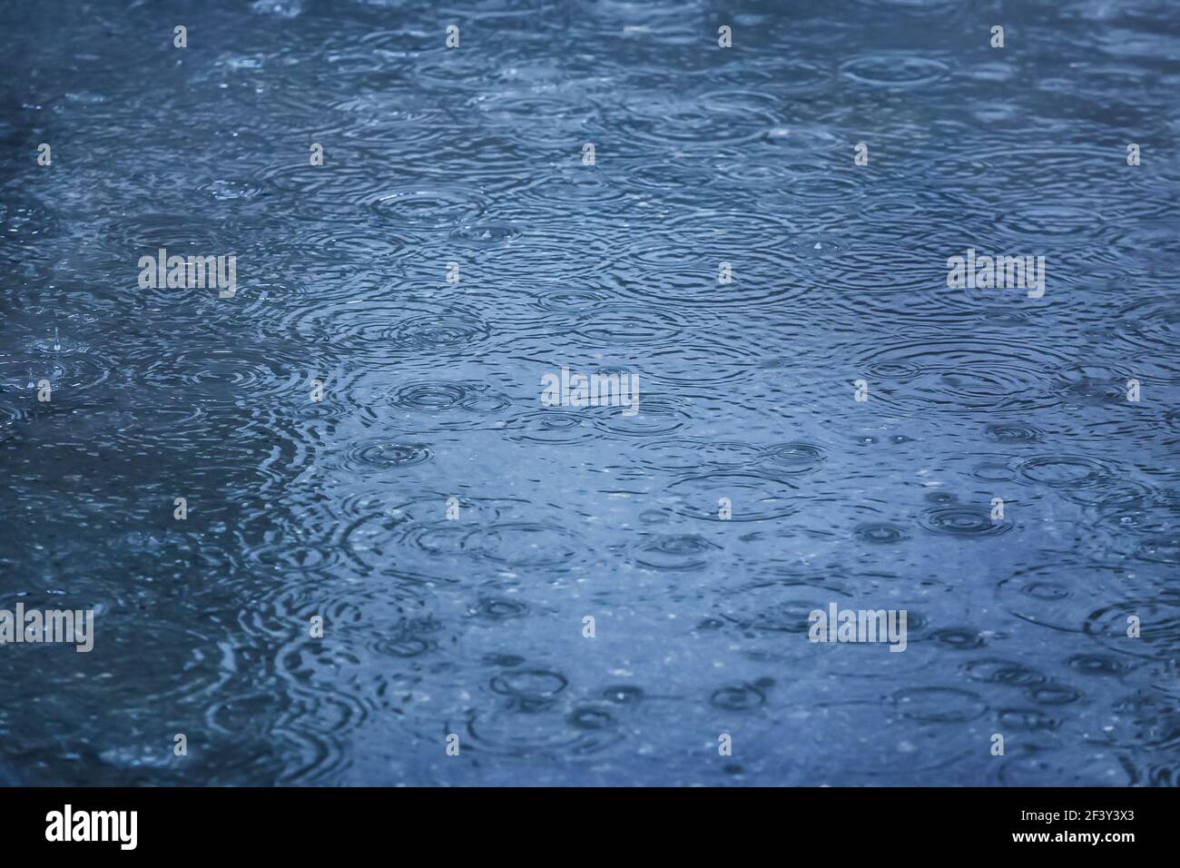 rain drops falling in pool on asphalt Stock Photo - Alamy