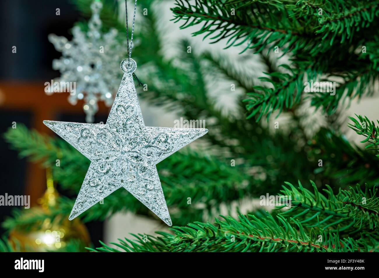 snowflakes decorated on pine tree for Christmas celebration Stock Photo ...