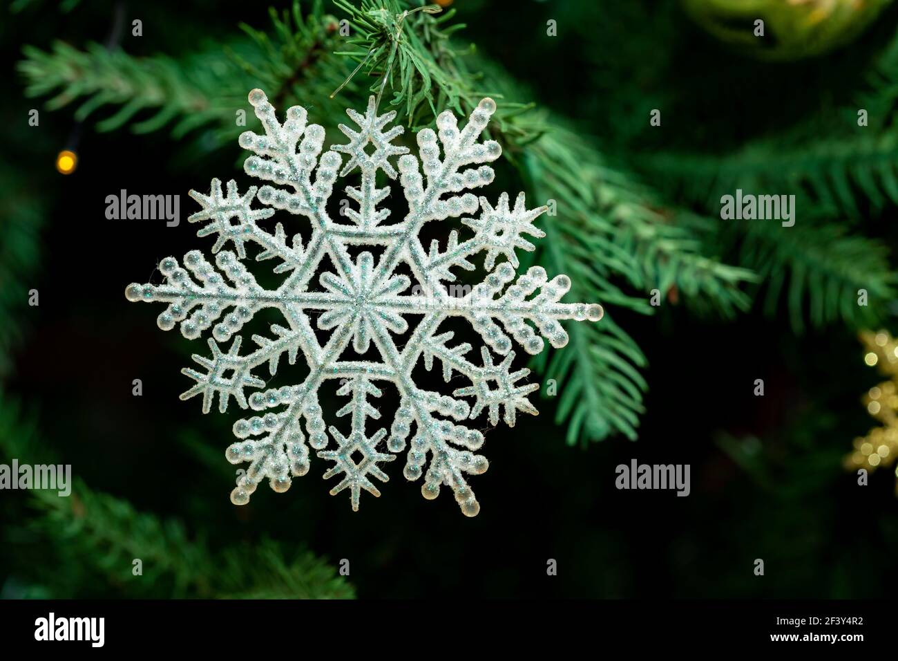 Photo christmas tree hi-res stock photography and images - Alamy