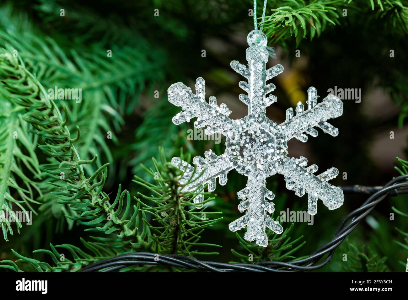 Snowflakes on pine tree hi-res stock photography and images - Alamy