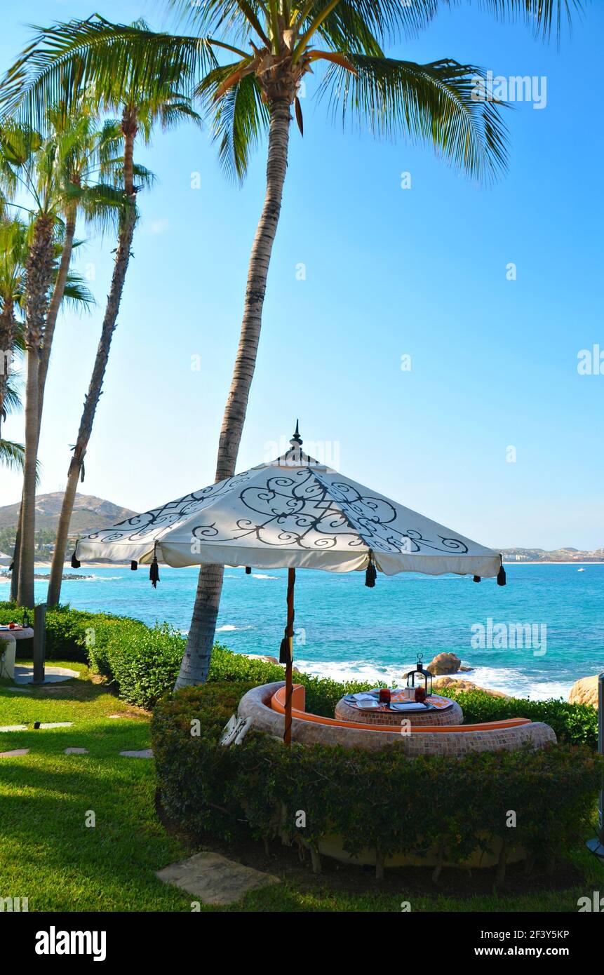 Scenic landscape with a parasol surrounded by palm trees overlooking ...