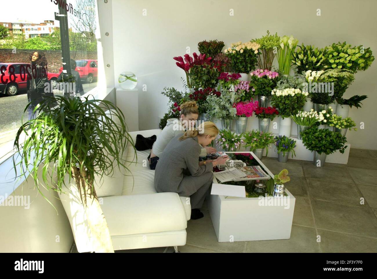 THE FLOWER LOUNGE Stock Photo - Alamy