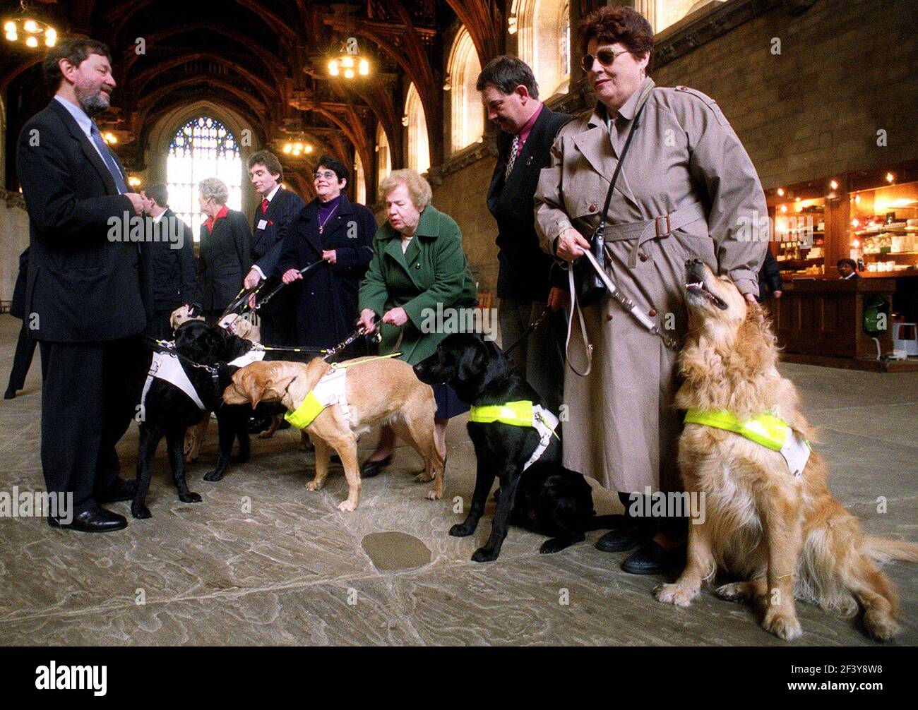 Guide dogs for the blind association hi-res stock photography and ...
