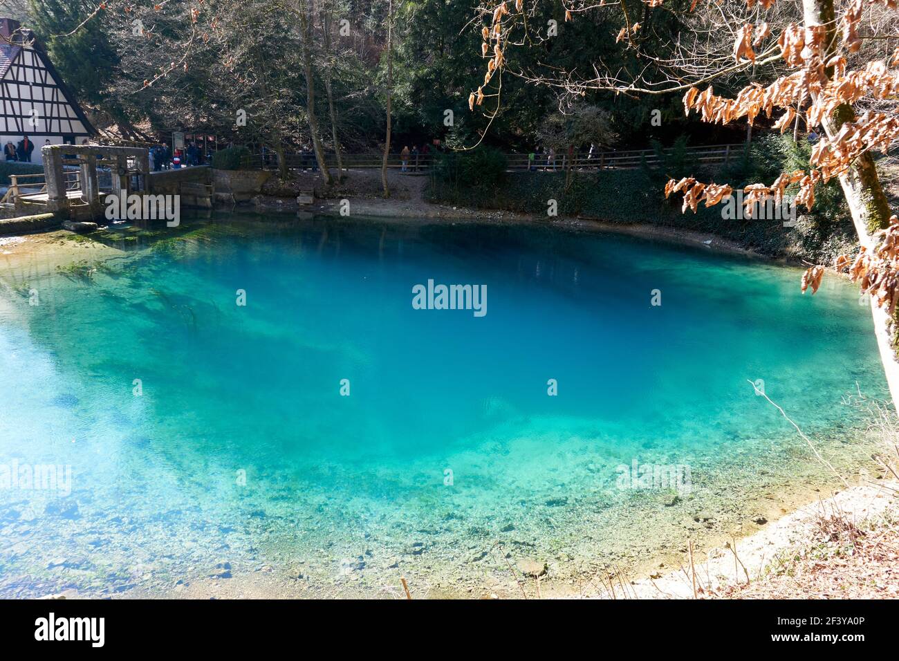 The turquoise water of Blautopf spring in Germany Stock Photo - Alamy