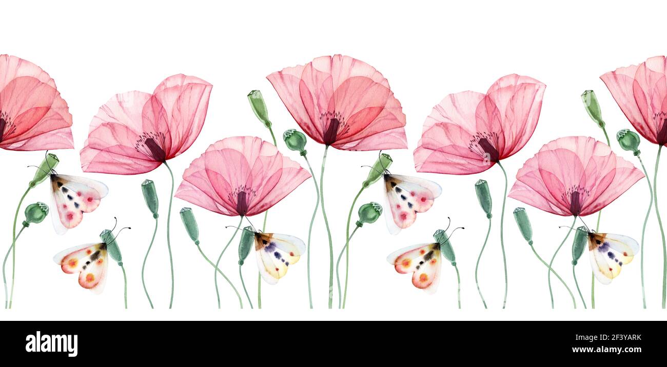 Watercolor seamless border. Poppy plants and butterflies. Summer field ...