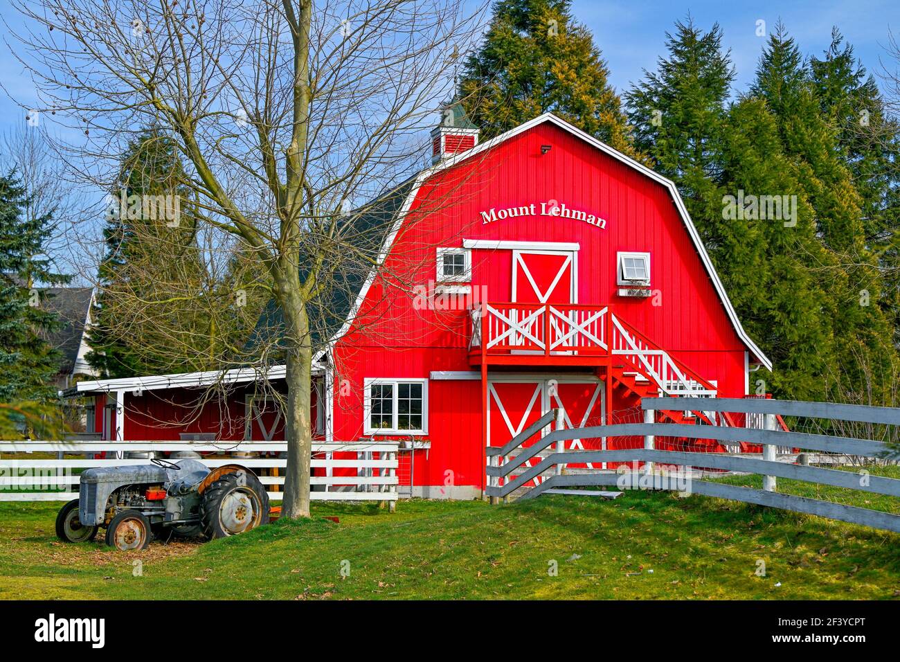 Red fraser hi-res stock photography and images - Alamy