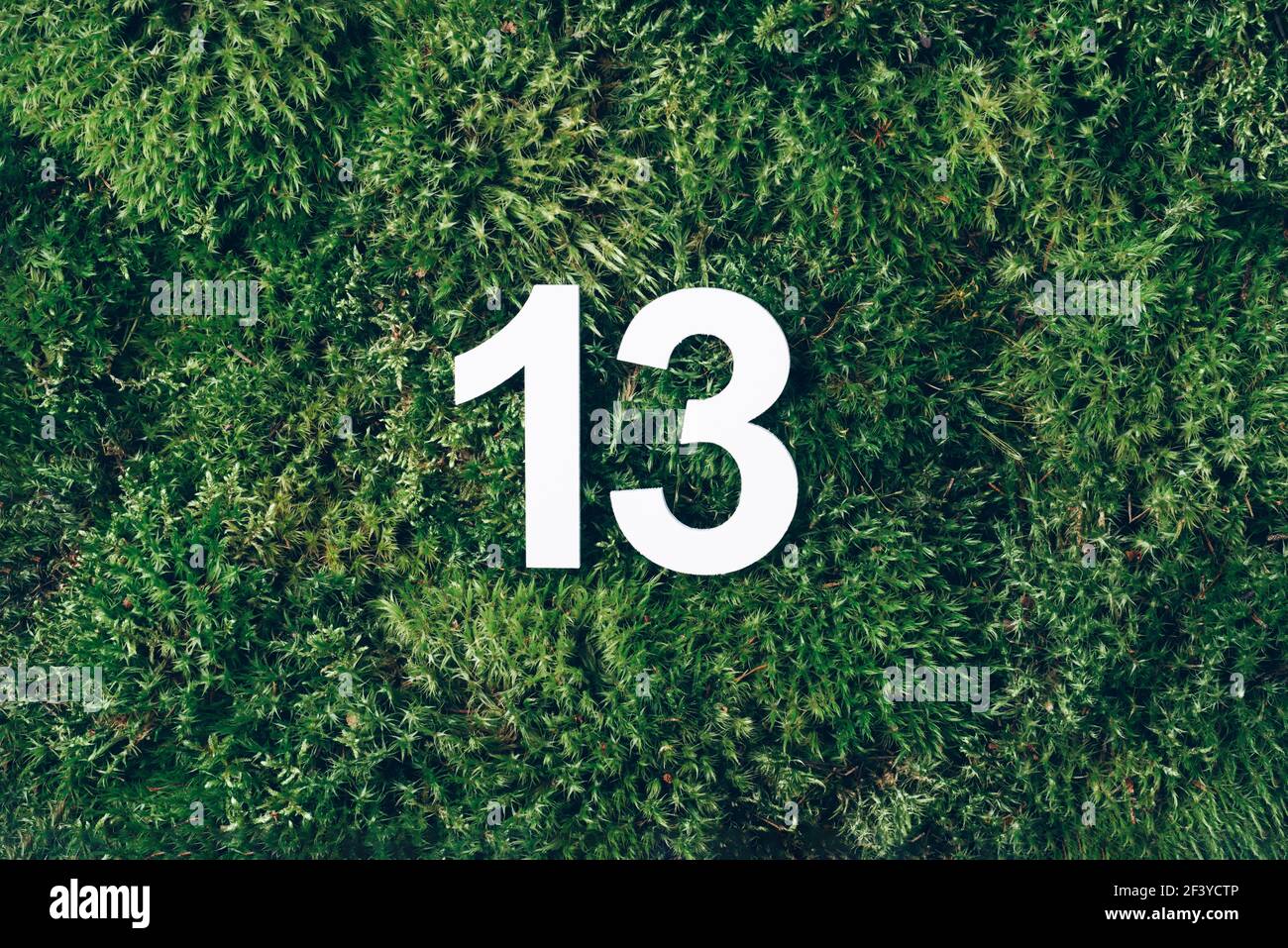 Ecology, zero waste. Green grass, digit thirteen. Birthday greeting ...